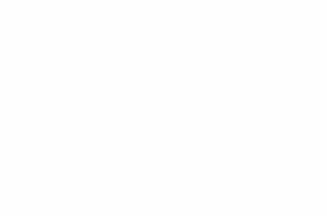 Darent Nature Partnership