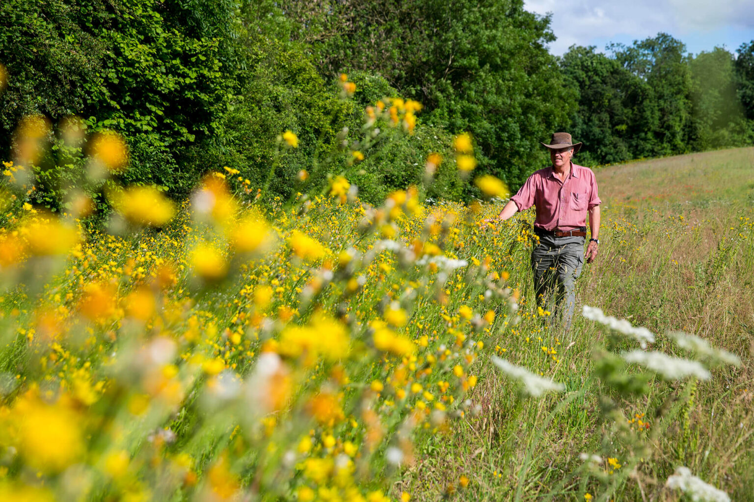 Darent Nature Partnership